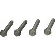 Racor RK 11542 REPL KIT, CAPSCREW — RacorStore